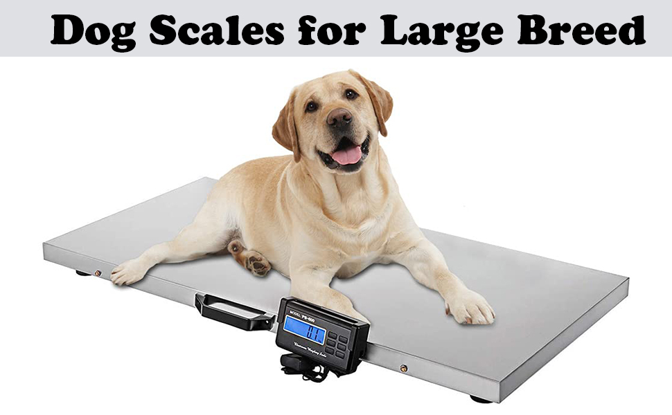 Stainless Steel Animal Weighing Scale Heavy Duty Pet Scale 1102 Lbs ...