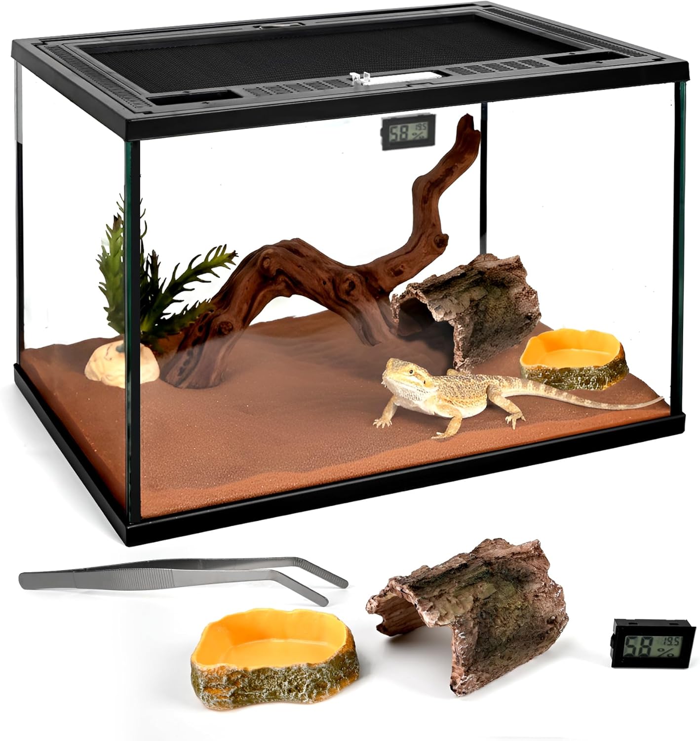 ReptHaven 5-in-1 Glass Reptile Enclosure Starter Kit (8.3 Gal ...