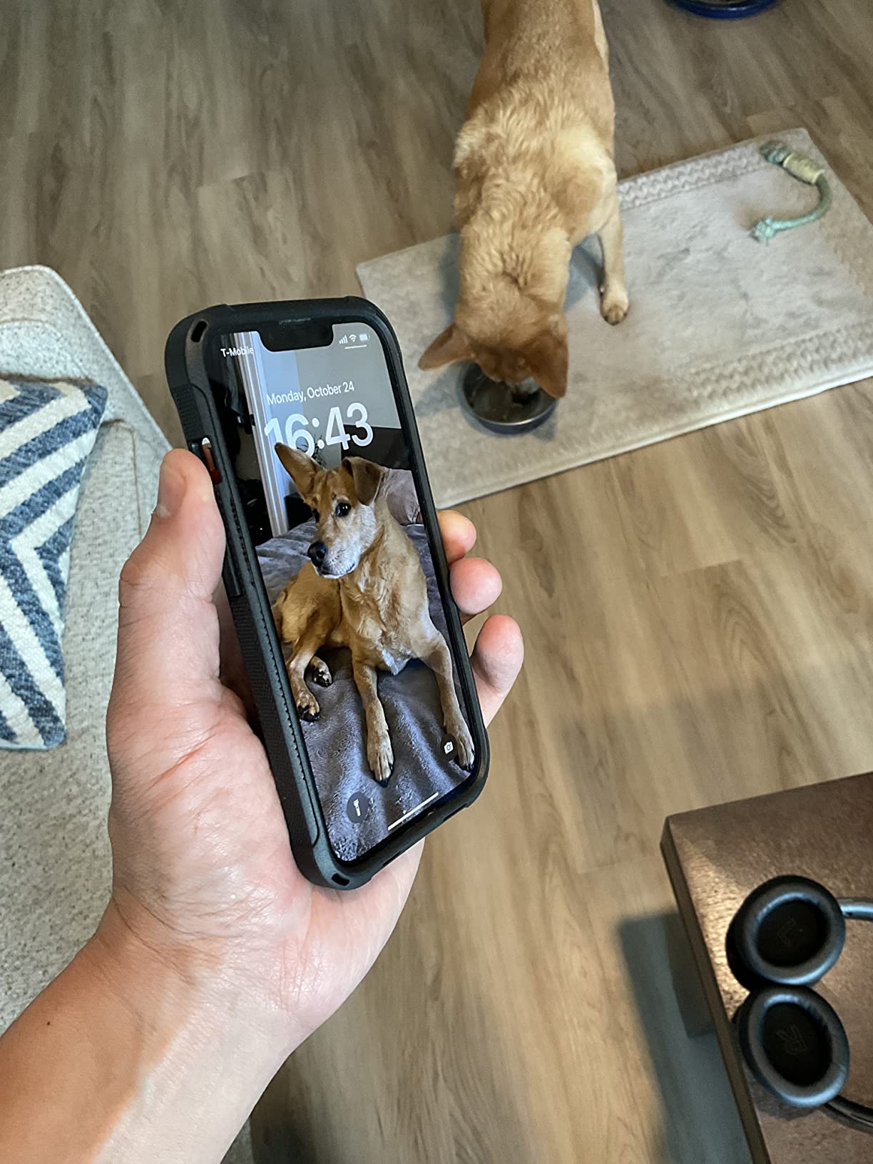 $4/mo - Finance TUSITA Lock Case for iPhone 13 Pro Max | Buy Now, Pay Later