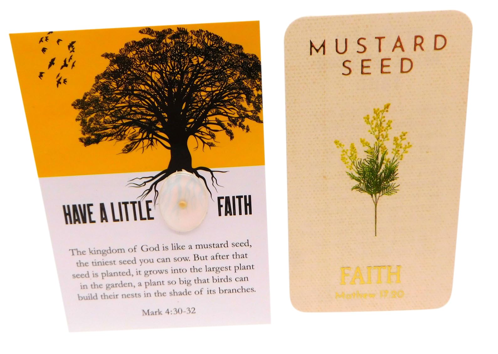 Amazon.com: Mustard Seed Holy Card Bulk Pack Mixed 10 Pack Bundle ...