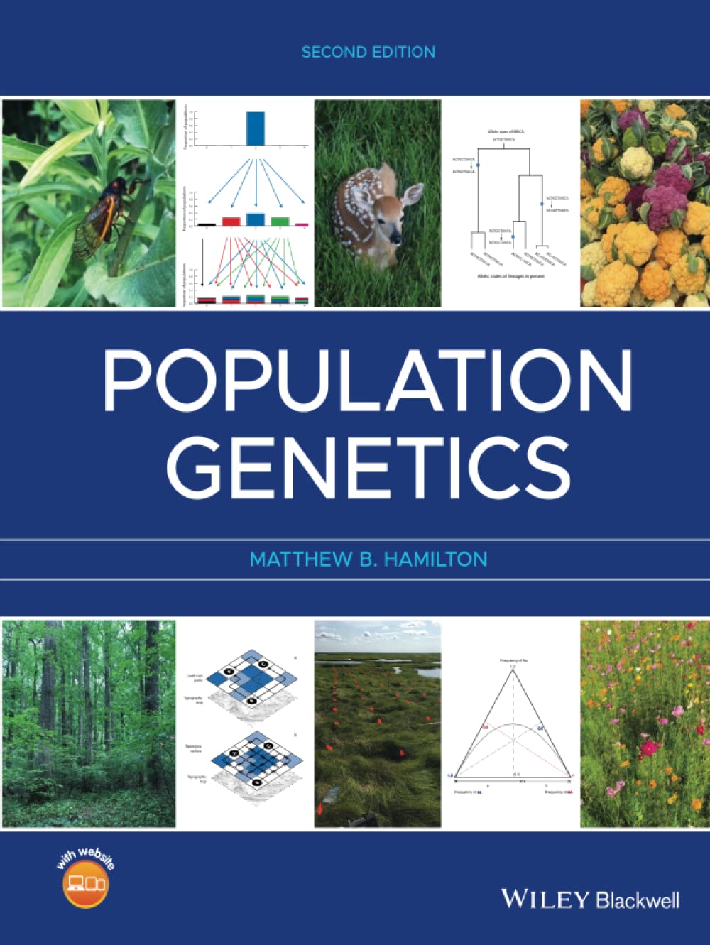 Population Genetics: Hamilton, Matthew B.: 9781118436943: Amazon.com: Books