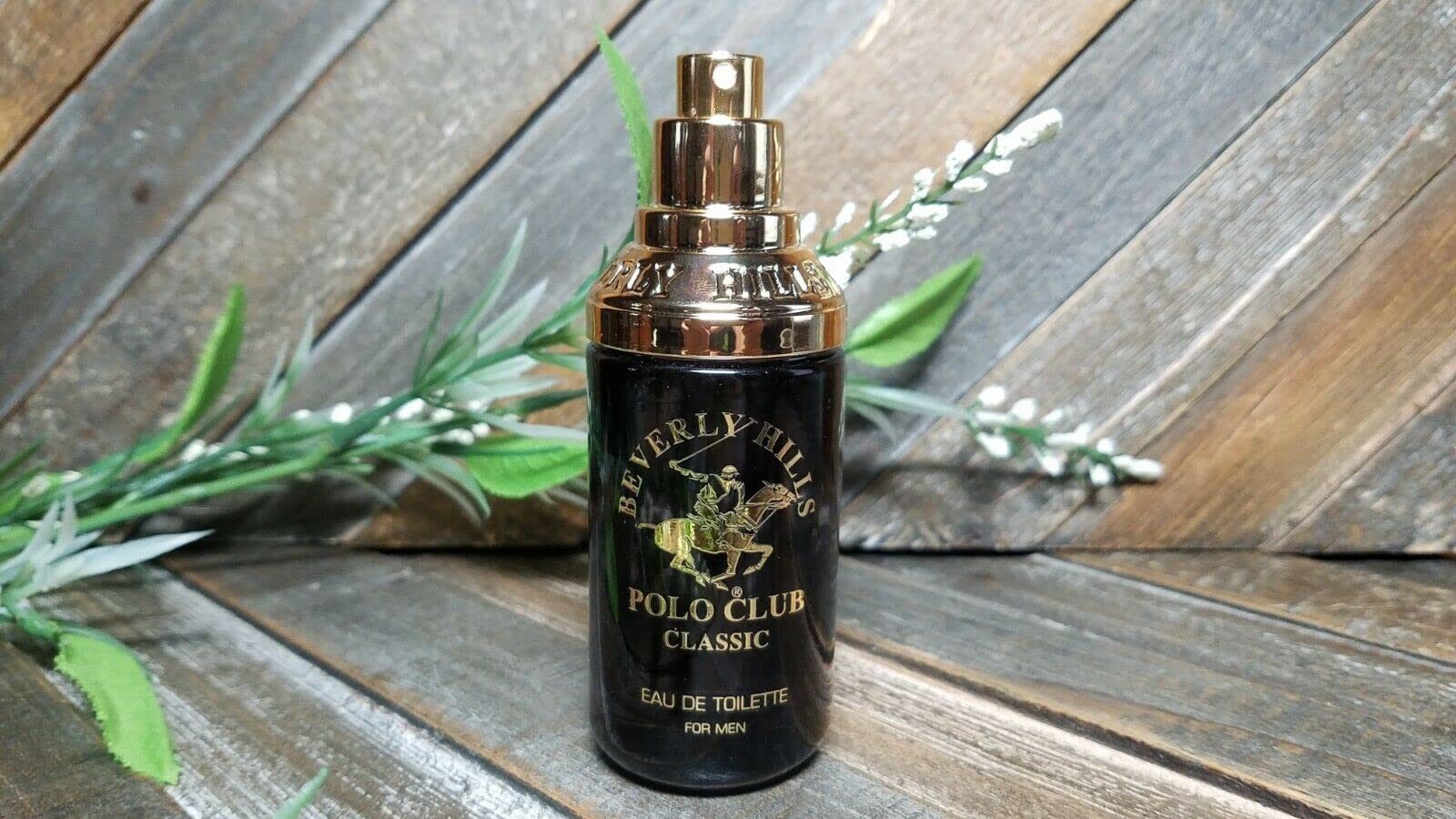 Classic polo cologne online