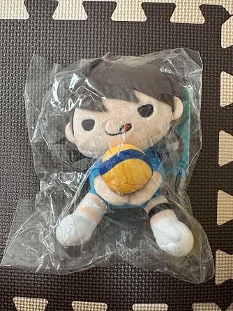 Amazon.co.jp: Haikyu Tohru Oikawa Receive Plush Mascot : Toys & Games