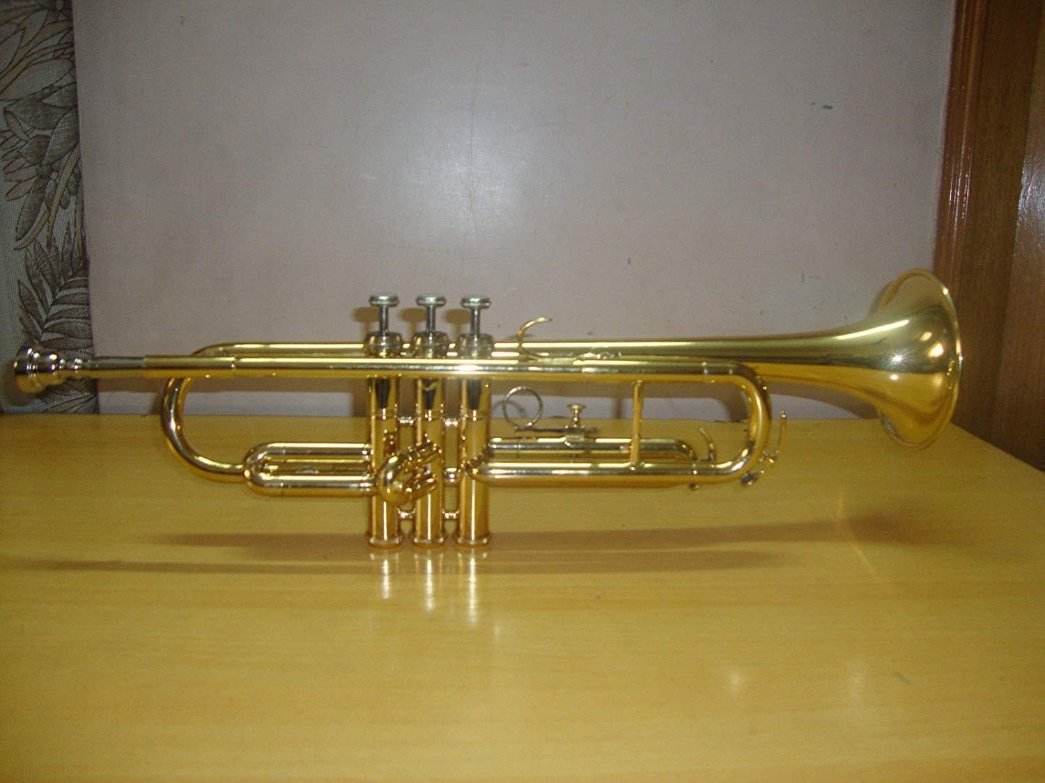 SAI Musicals Bb Trumpet Low Pitch Brass Musical Instrument for ...