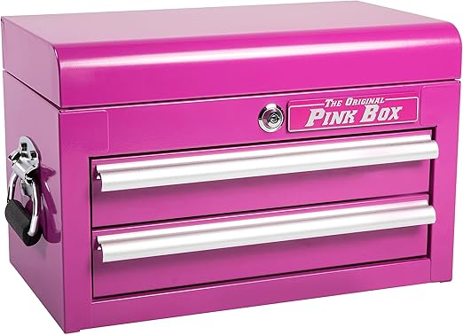 Amazon.com: The Original Pink Box PB218MC 18-Inch 2-Drawer 18G Steel ...
