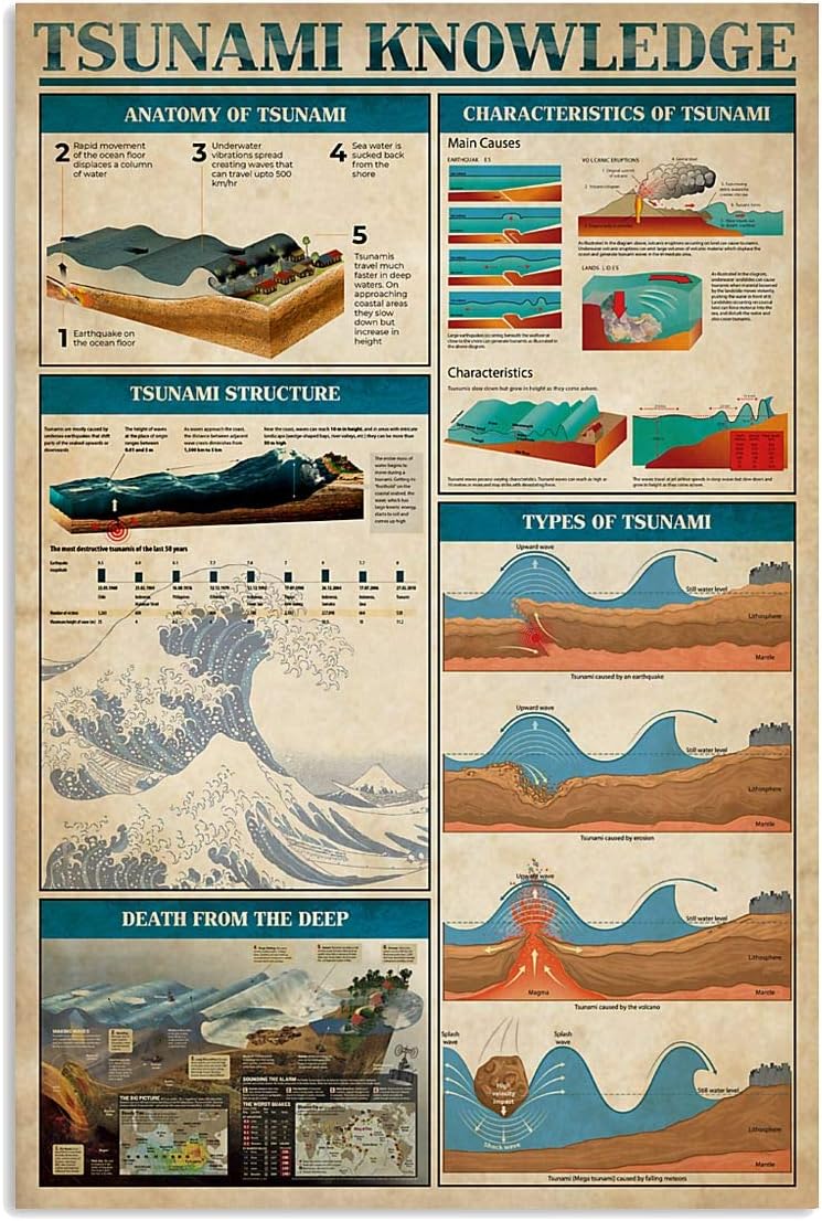 Amazon.com: Tsunami Knowledge Metal Signs Classroom Wall Decor Tsunami ...