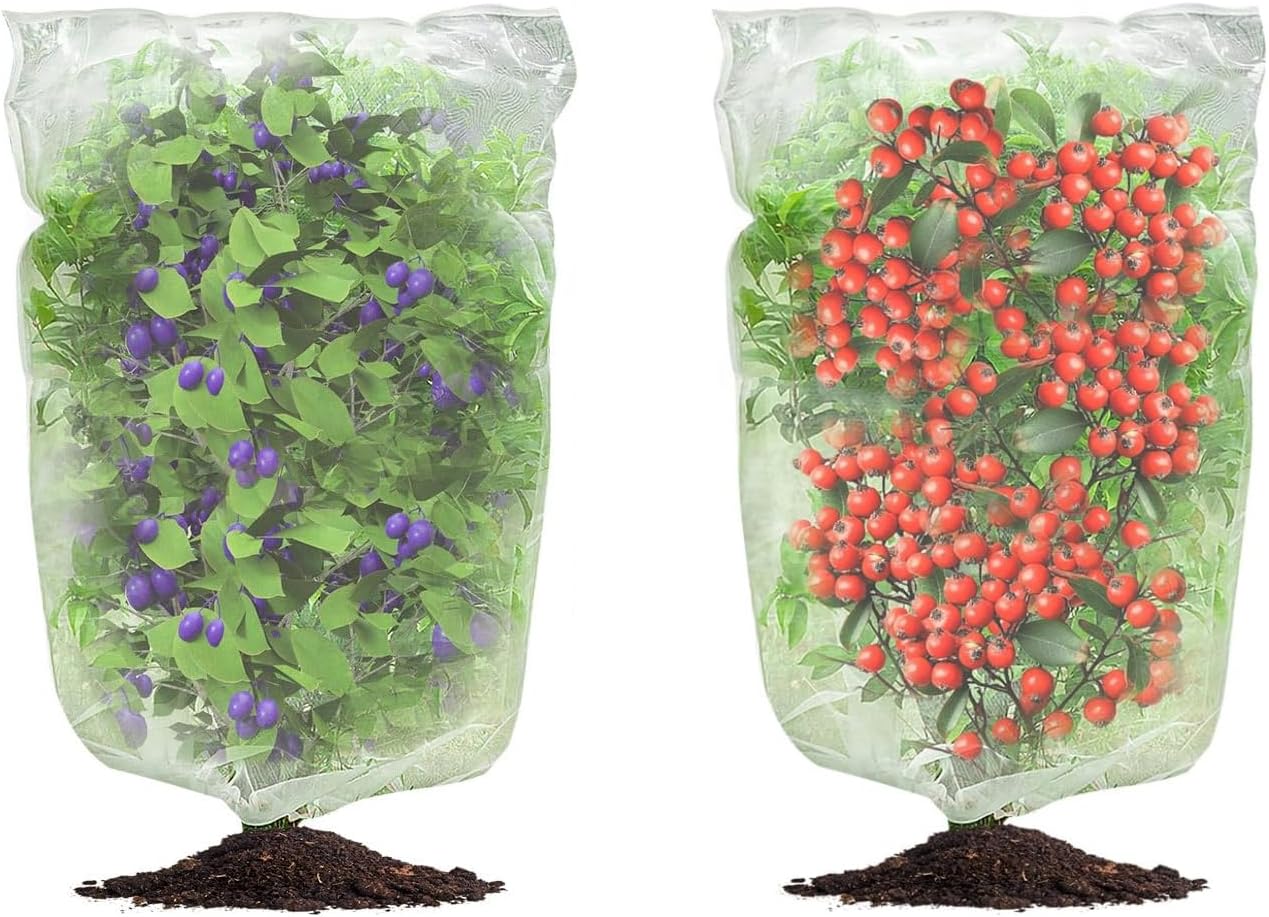 Amazon.com : Fruit Tree Netting,2Pcs 6.6 * 6.6FT Fruit Orchard Netting ...