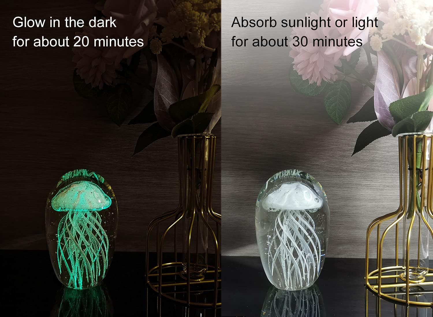 WZLPY Jelly Fish Lights with USB Cables and Spinning Base, Glass ...