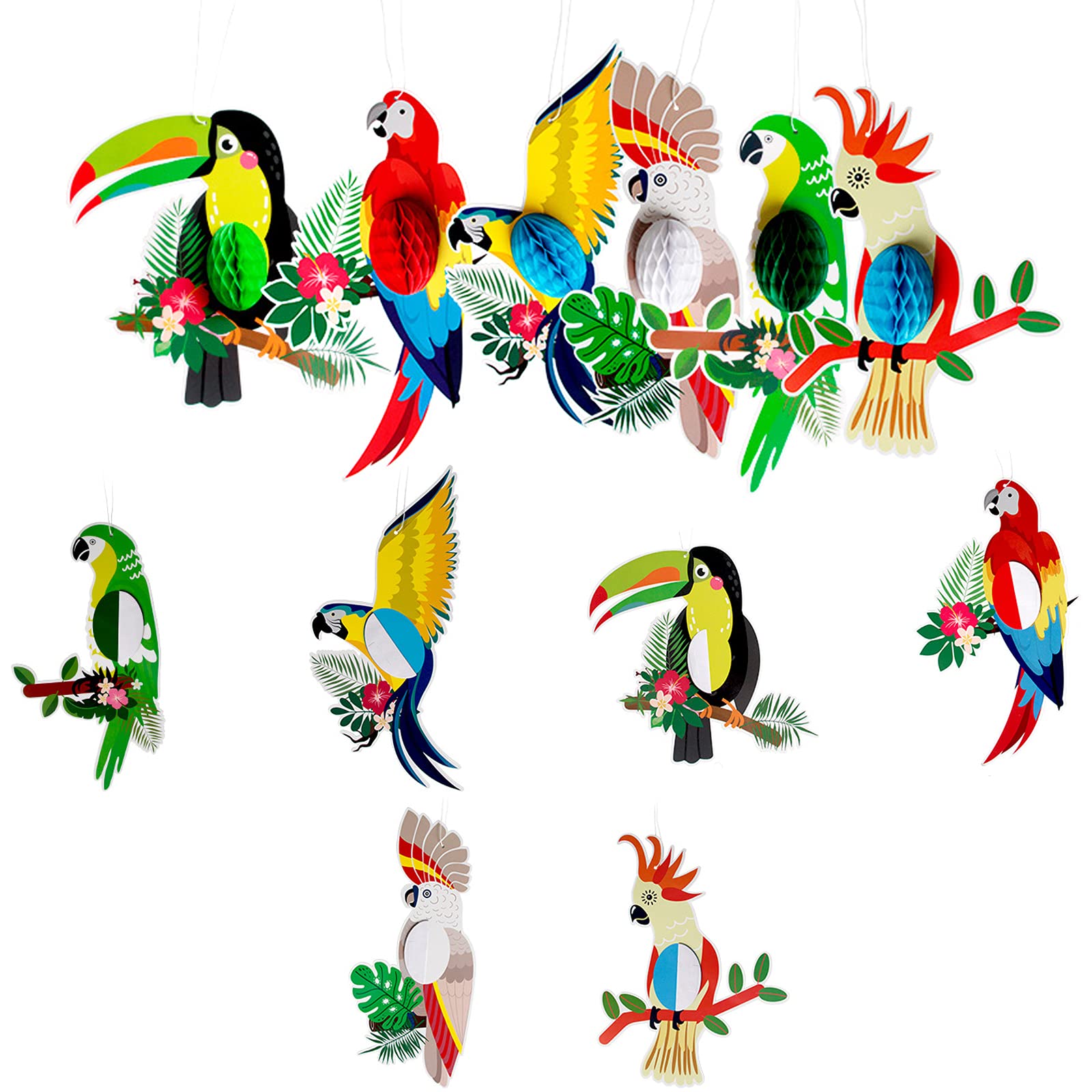 Tropical Colorful Birds