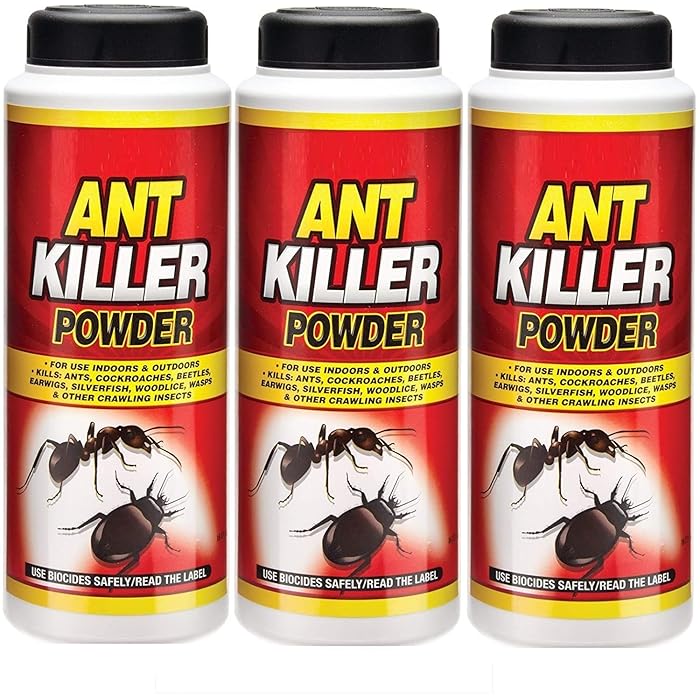Buy 3x Ant Killer Powder for Indoor and Outdoor Use Strongest Ant ...
