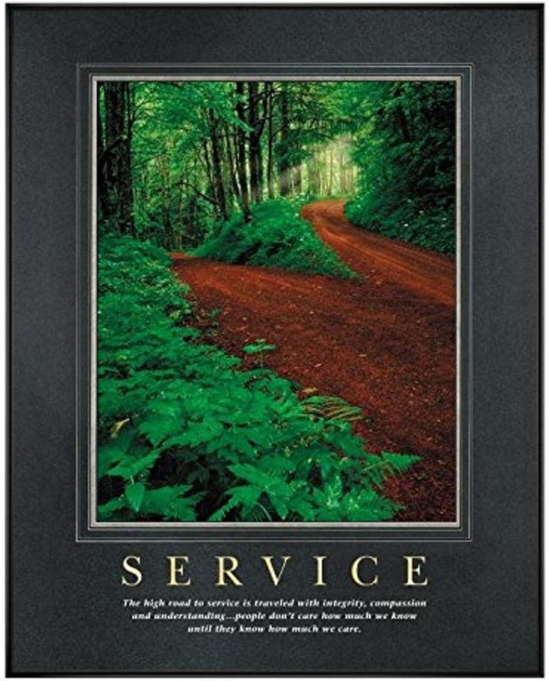 Amazon.com - Successories 25 in. Black Aluminum Frame, Gunmetal Mats ...