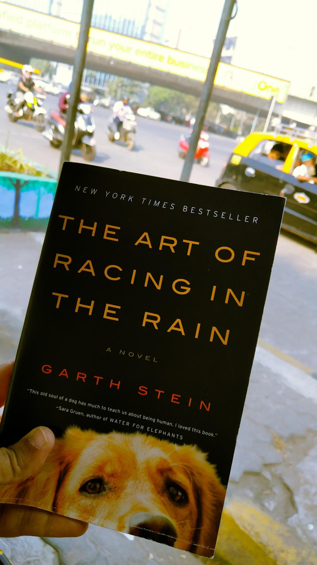 Buy The Art of Racing in the Rain Book Online at Low Prices in India ...