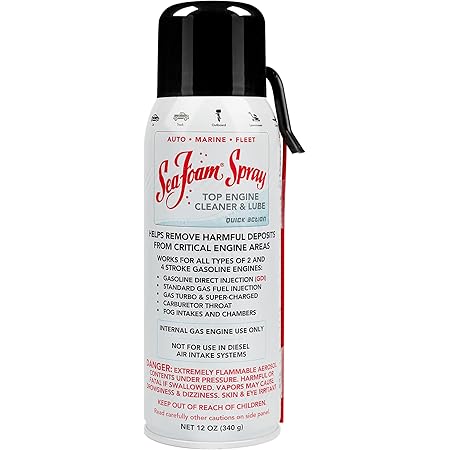 Amazon.com: Sea Foam Spray Top Engine Cleaner and Lube SS14, 12oz ...