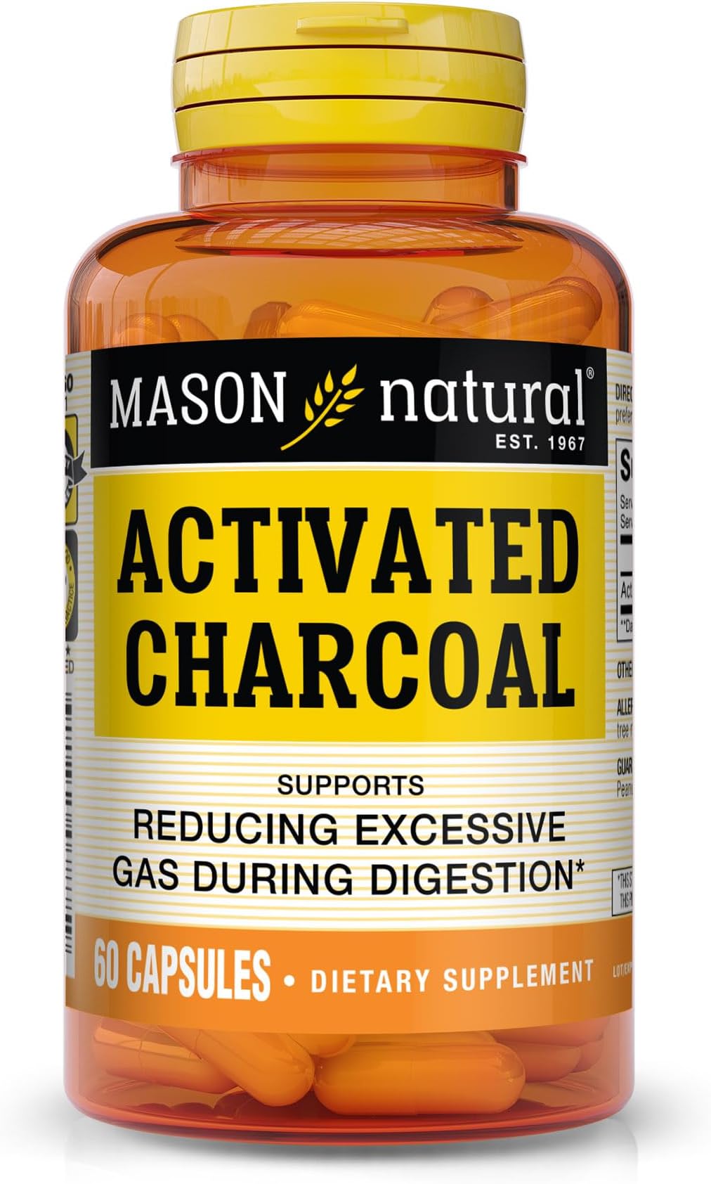 Amazon.com: Sundance Activated Charcoal 780mg | 60 Quick Release ...