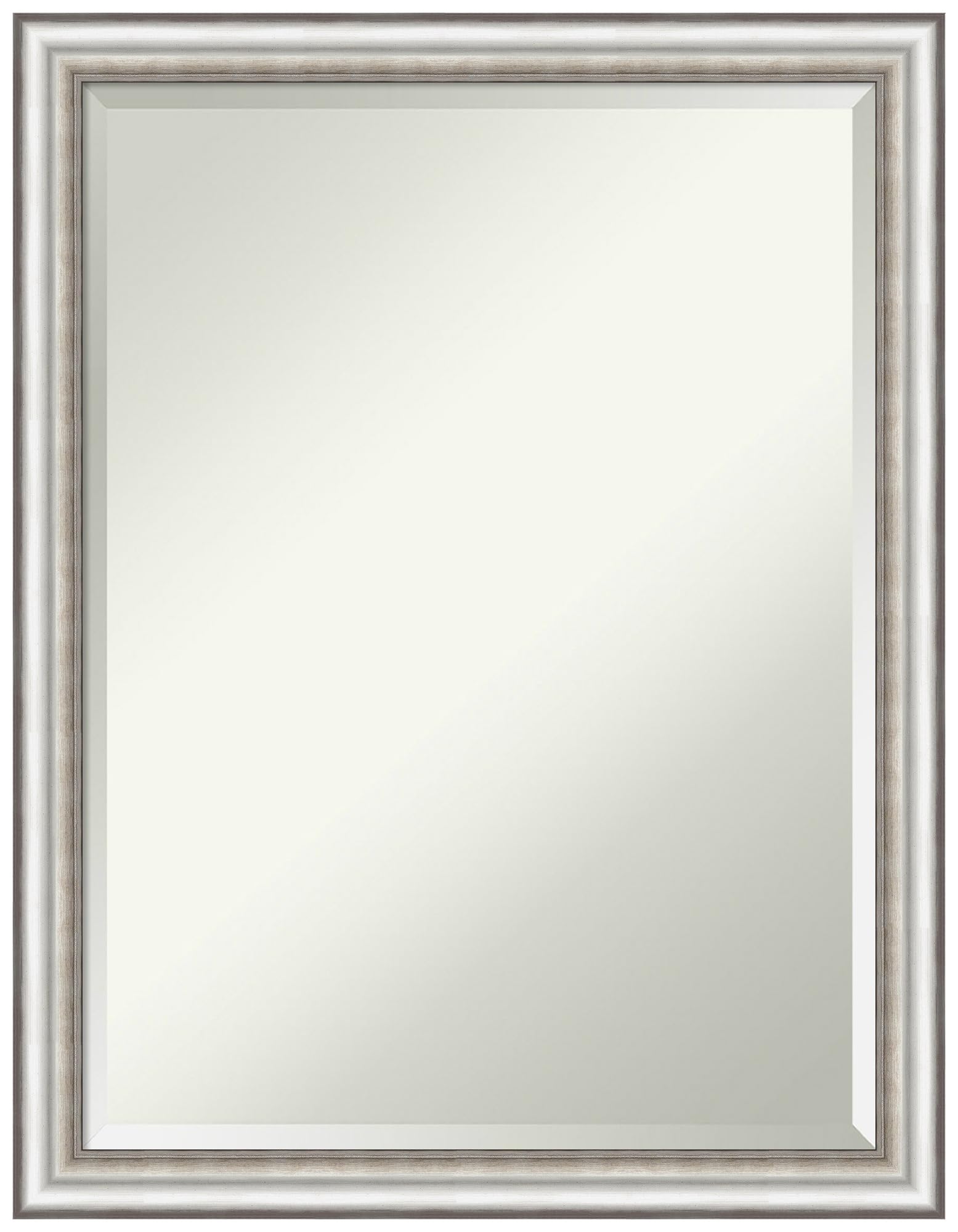 Amazon.com: Amanti Art Bathroom Mirror, Salon Silver Narrow Wall Mirror ...