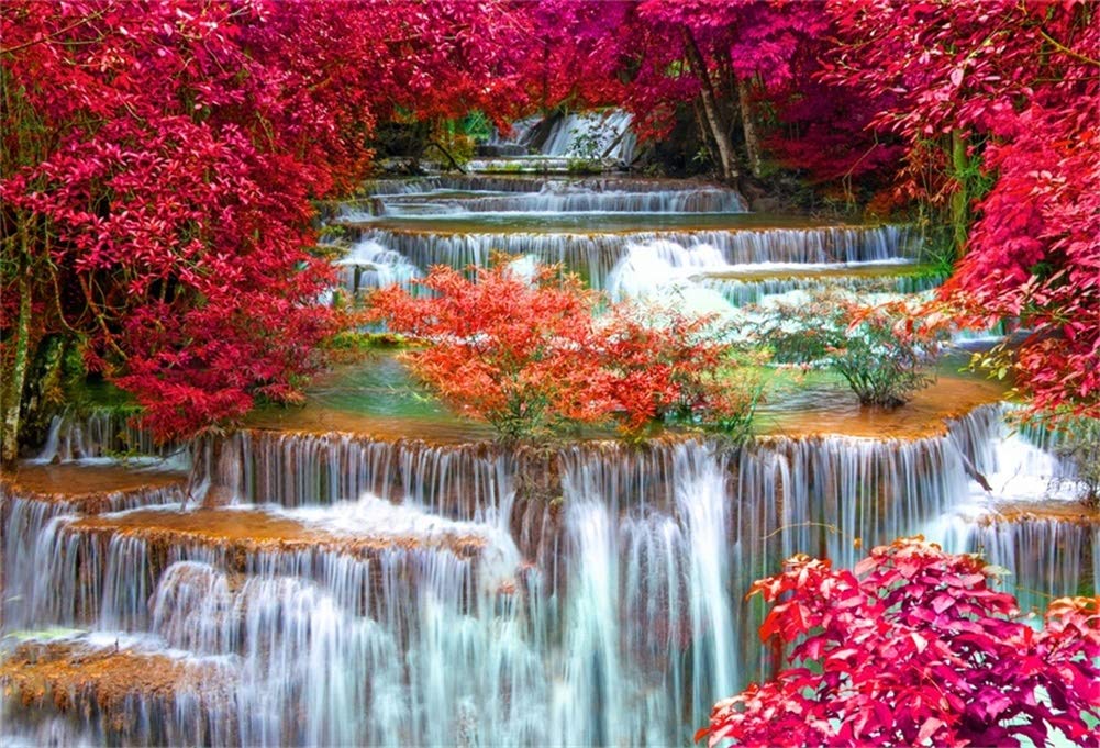 Beautiful Sceneries Of Rain