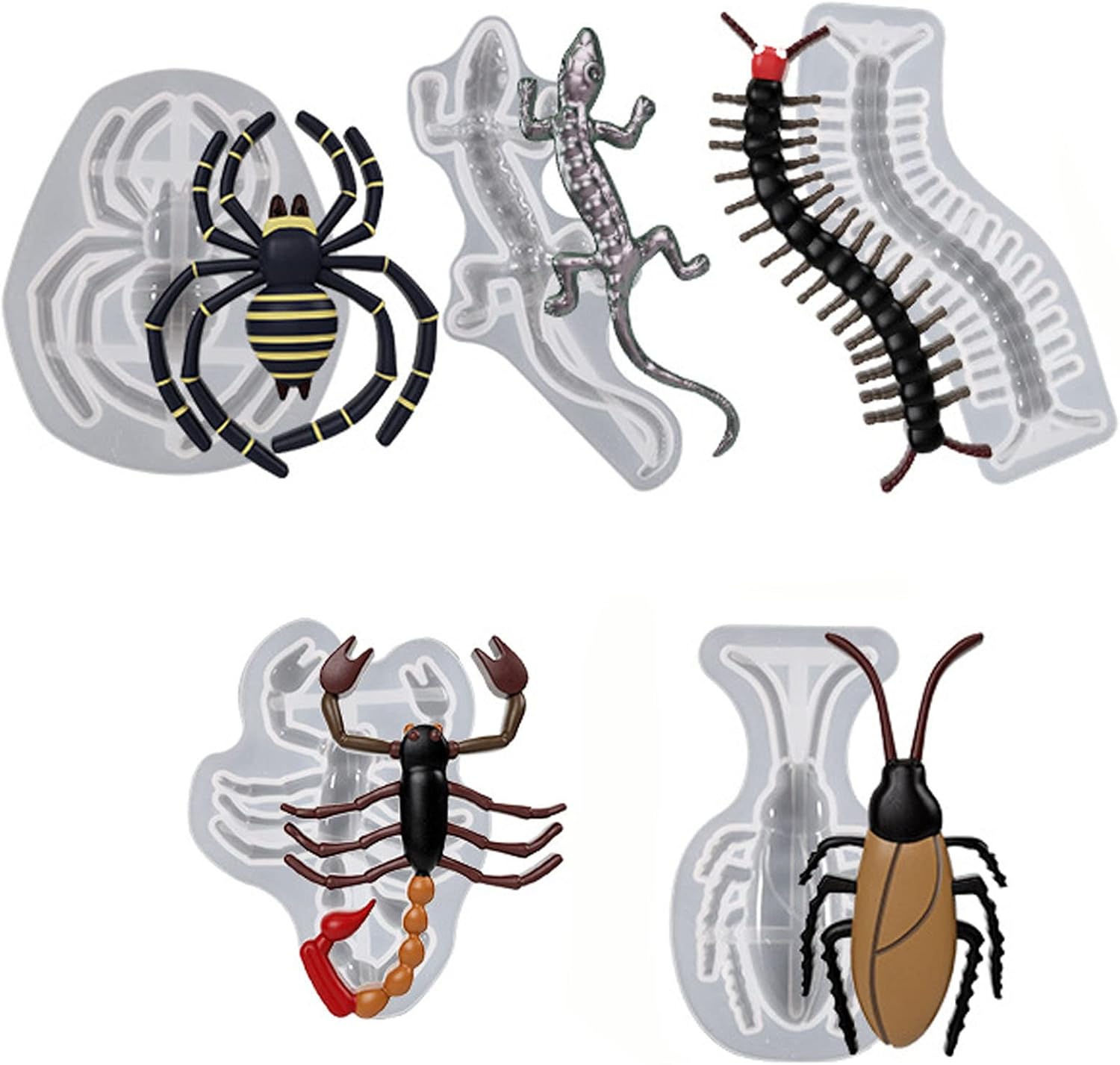 Amazon.com: 5 Pcs of Gecko Centipede Scorpion Cockroach Spider Keychain ...