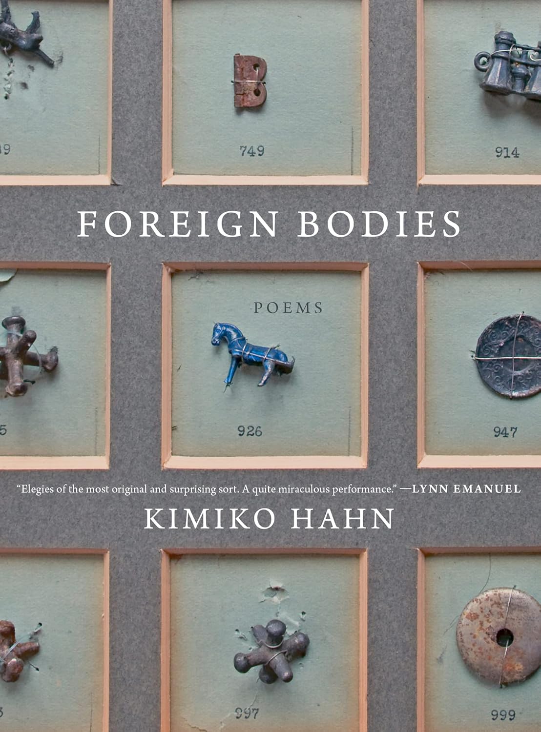 Foreign Bodies: Poems - Kindle edition by Hahn, Kimiko. Literature ...