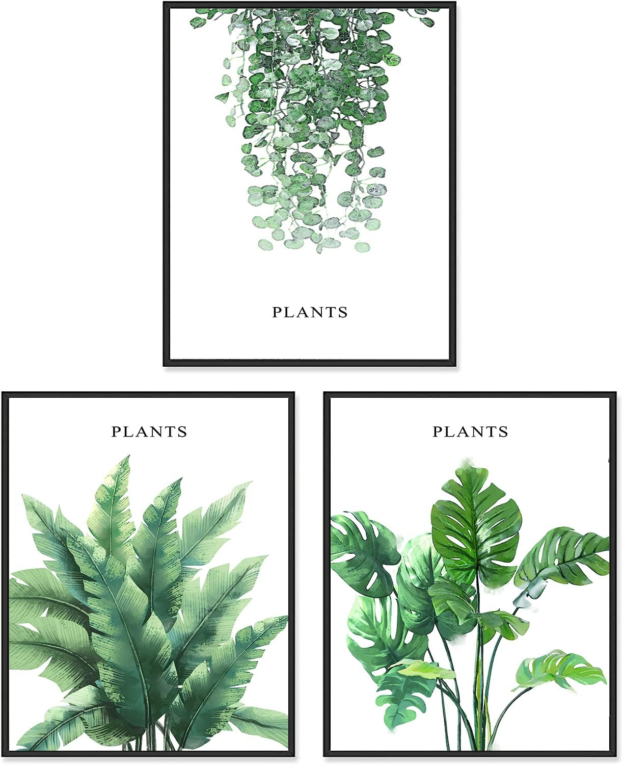 Amazon.com: HIJNX Plant Prints Unframed Posters Wall Art for Living ...