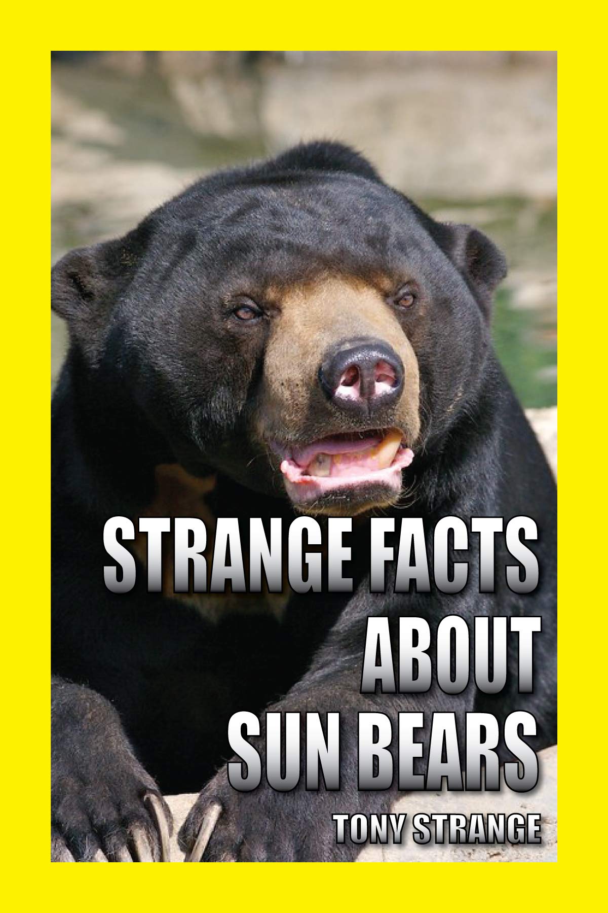 Buy STRANGE FACTS ABOUT SUN BEARS Children s Science Interesting buy-strange-facts-about-sun-bears-children-s-science-interesting