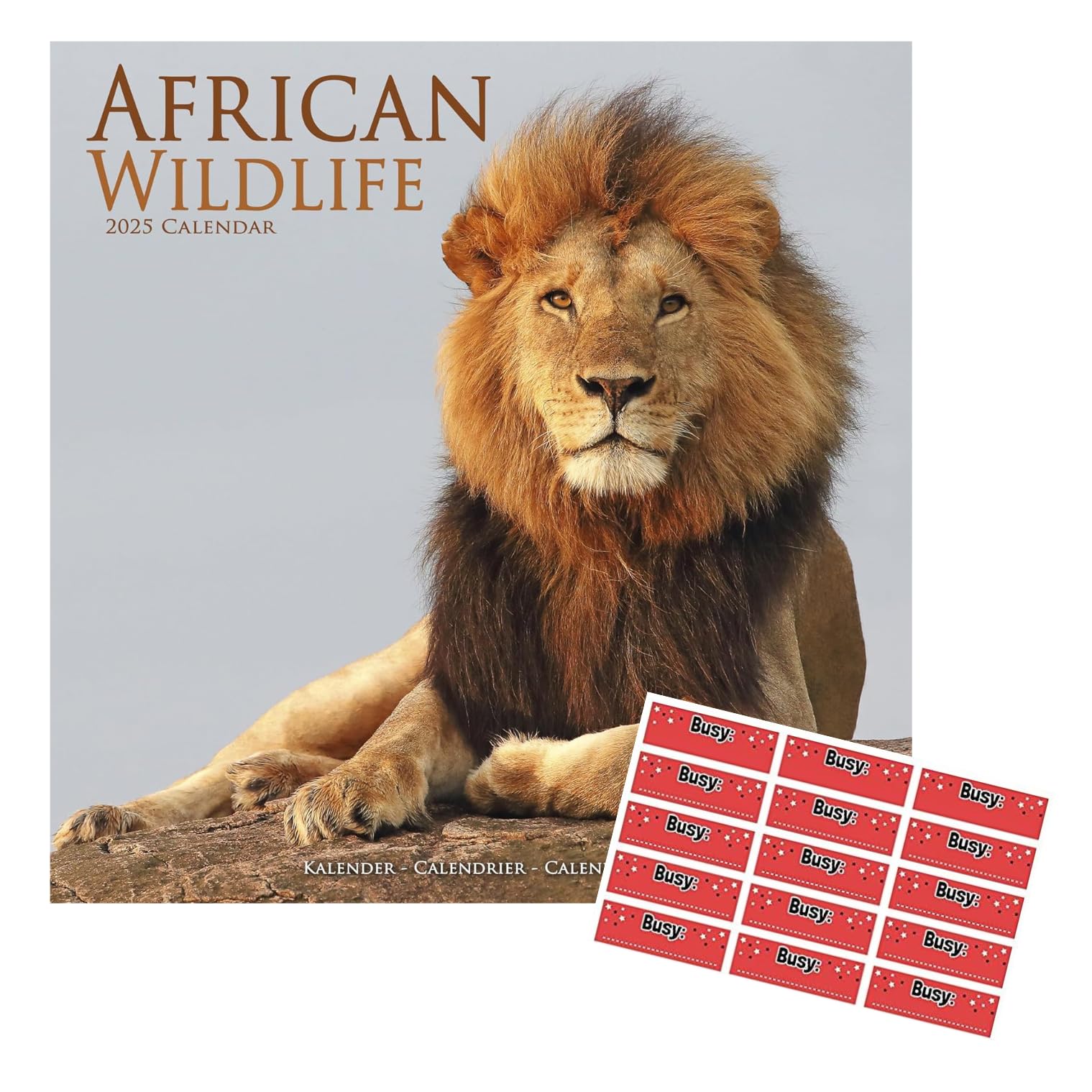 African Wildlife Calendar | 2025 Square Wall Calendar | 16 Month | With ...