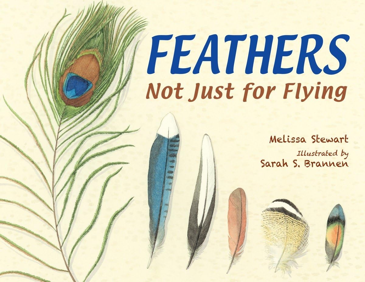 Feathers: Not Just for Flying: Stewart, Melissa, Brannen, Sarah S ...