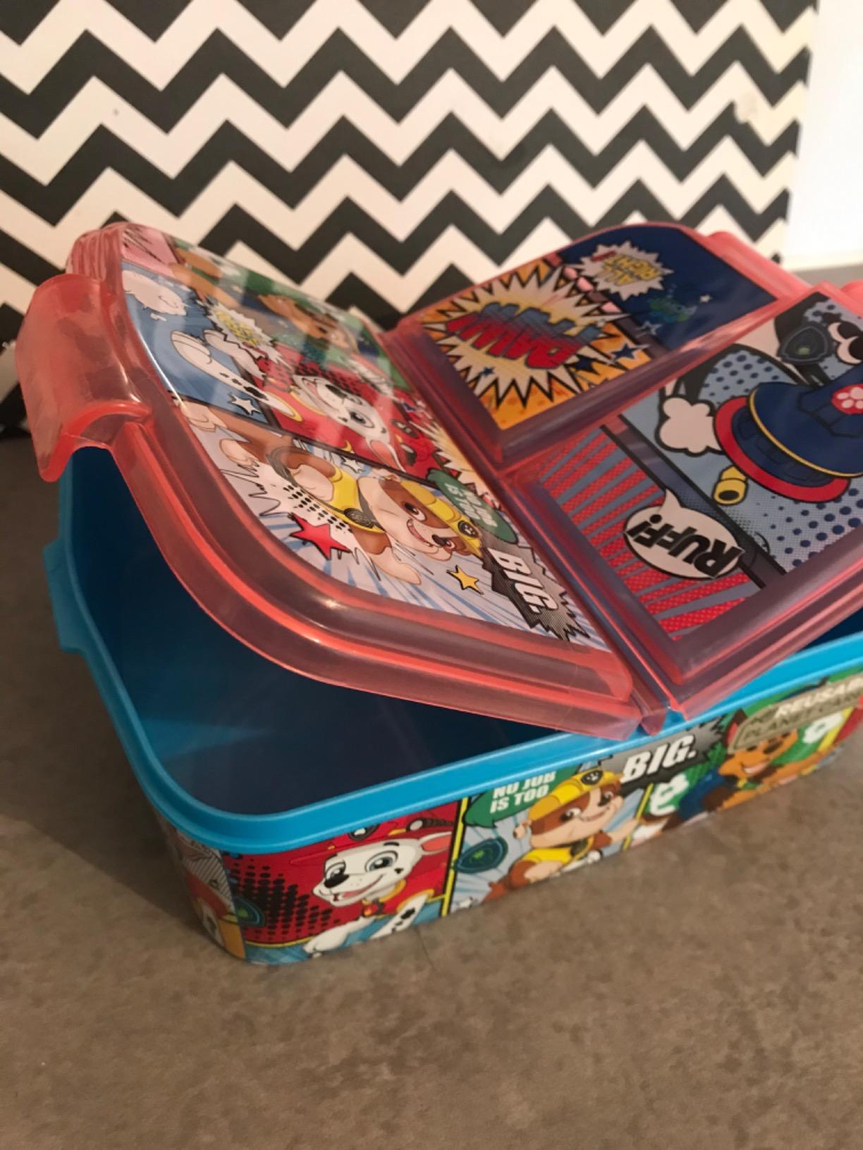 Paw Patrol Sandwich Lunch Snack Box Multi Compartment Kids Children ...