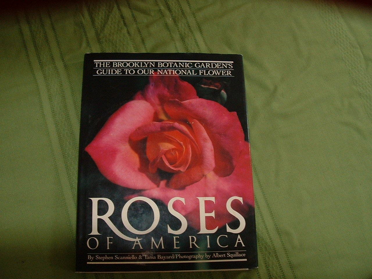 Roses of America: Bayard, Tanya, Scanniello, Steve: 9780805012415 ...