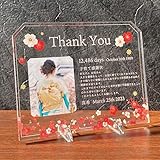 ・ブランド:Savoia・製造元:Savoia・製造元/メーカー部品番号:photo-frame-060・感謝状