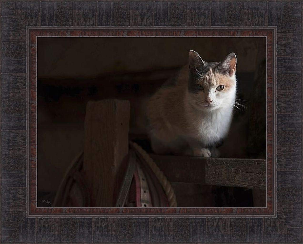 Calico Barn Cats