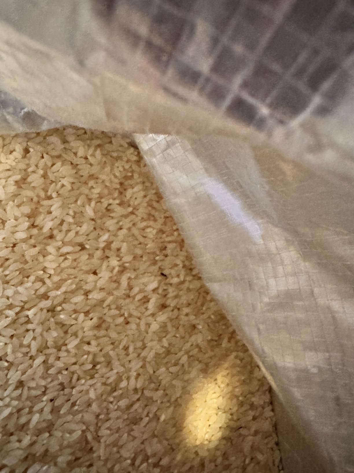 LALBABA RICE Govinda Bhog Rice 5Kg - Aromatic Premium Rice For Divine ...