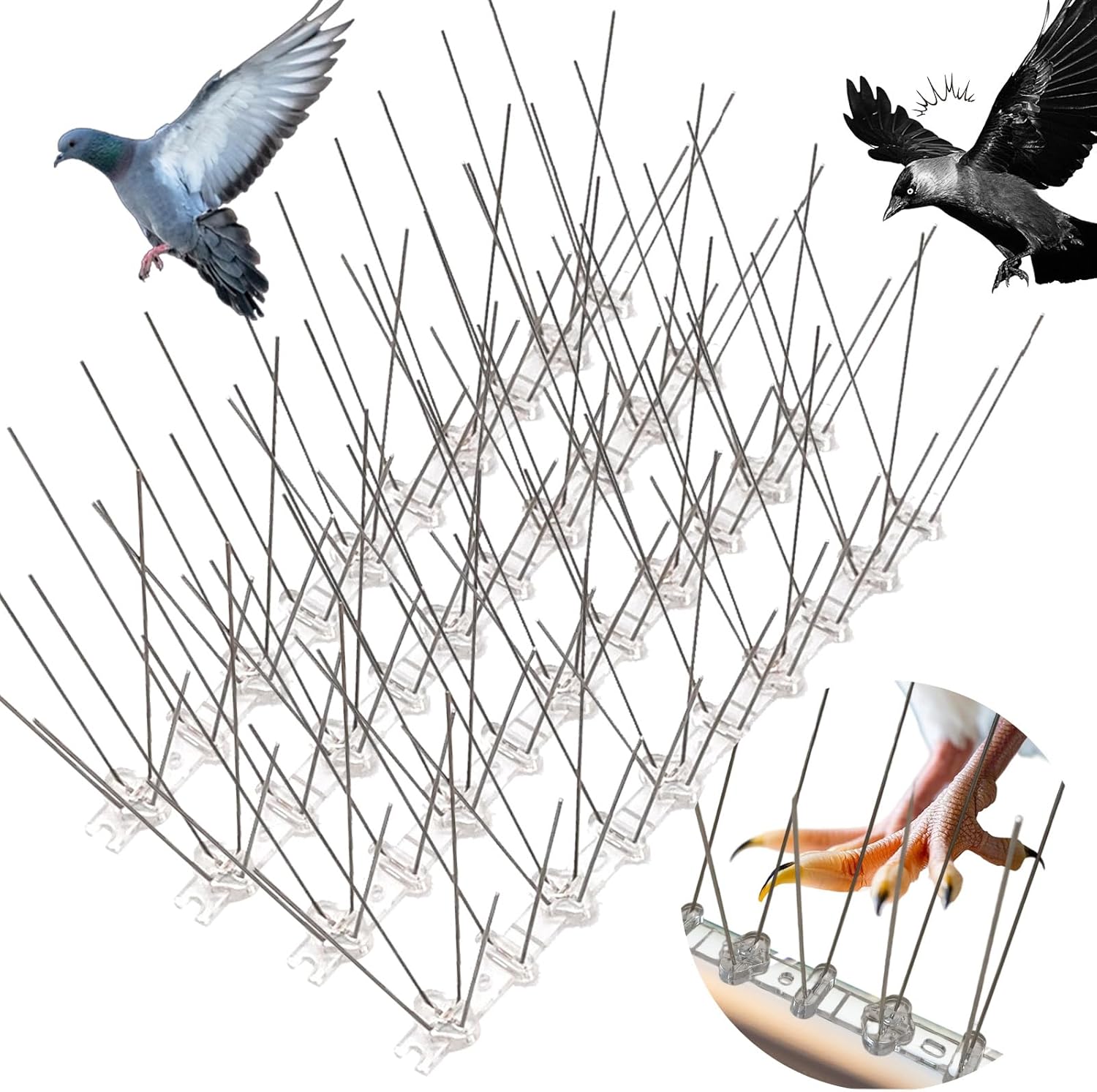 Amazon.com : Bird Spikes Deterrent, Bird Deterrents for Outside 12 Pack ...