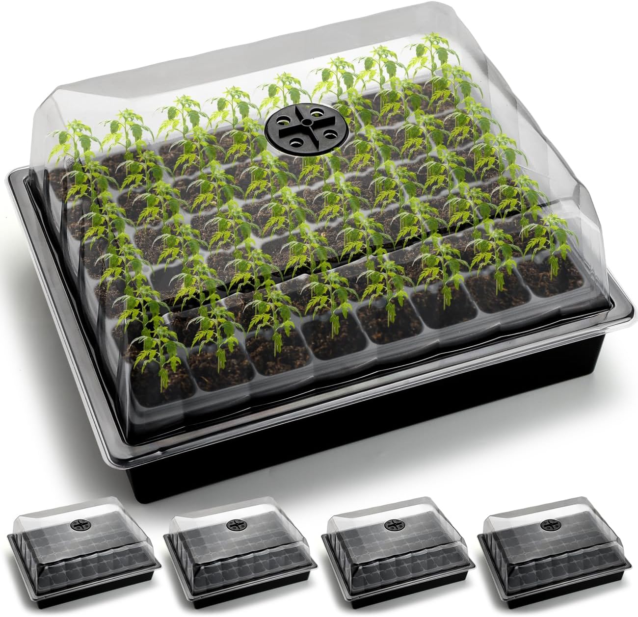Amazon.com : 5-Pack No Drip Seed Starter Trays with 4" Humidity Dome ...