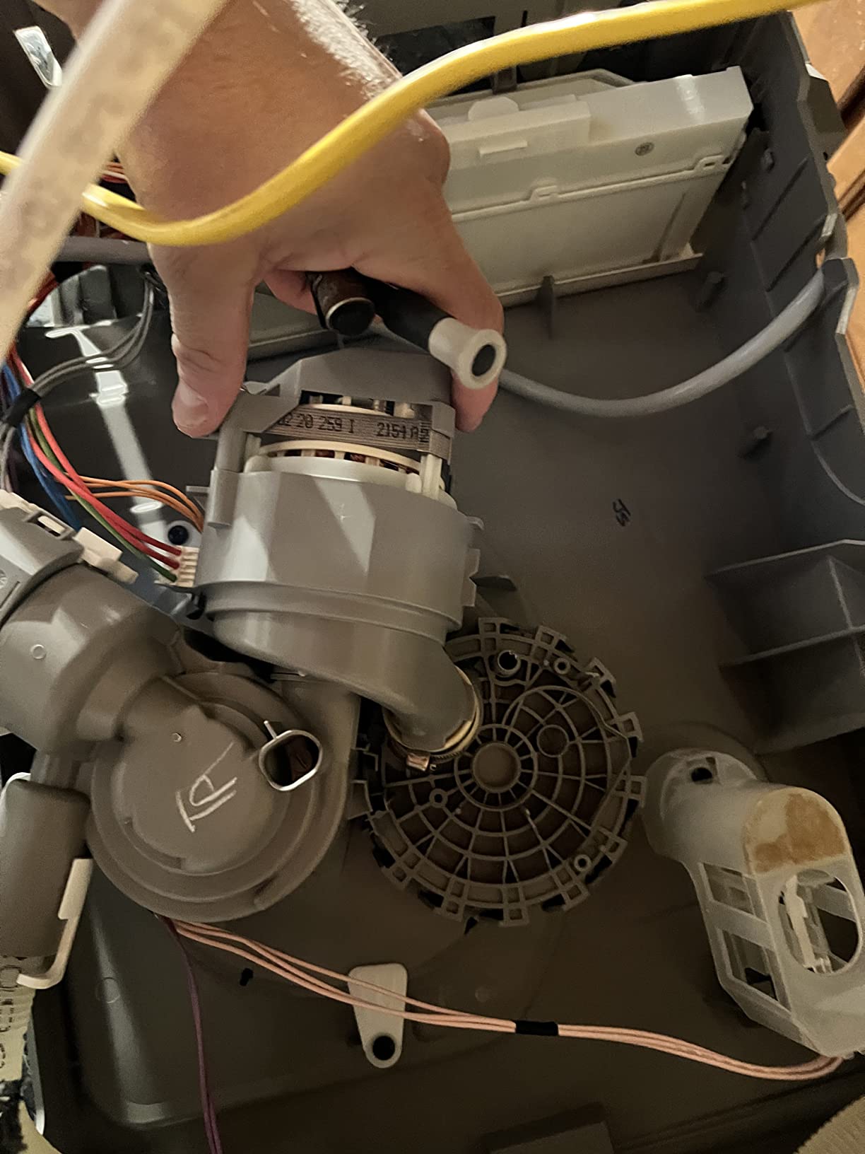 Amazon.com: ForeverPRO 12008381 Heat Pump for Bosch Appliance : Appliances