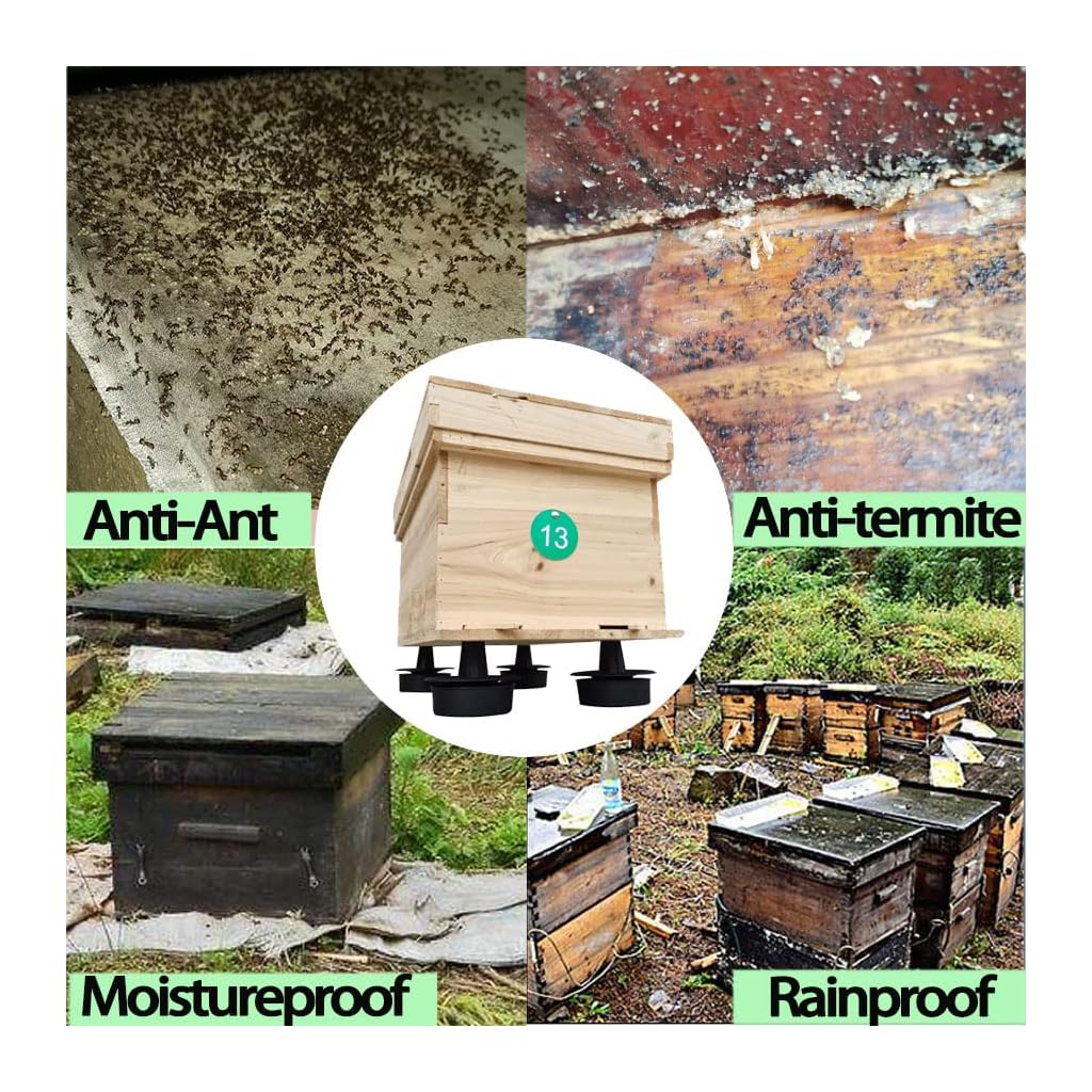 UCAREM Beehive Stands - Insect Gourmet - Your guide to edible insects