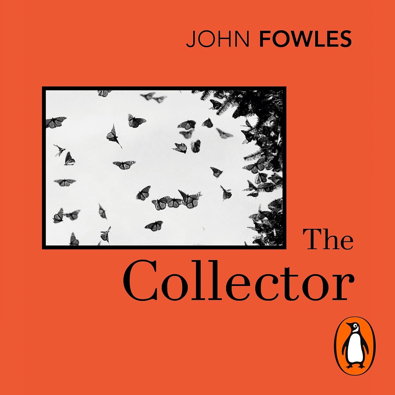 The Collector (Audio Download): John Fowles, Hannah Murray, Daniel ...