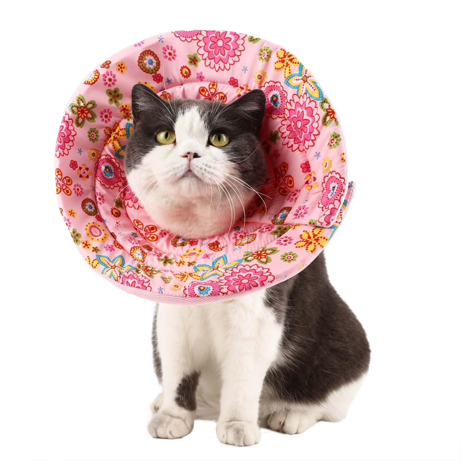 Amazon | Due Felice エリザベスカラー 猫用 犬用 ペット用 傷舐め防止 去勢手術 調節可能 柔らかい 可愛い 軽量 通気性 ...