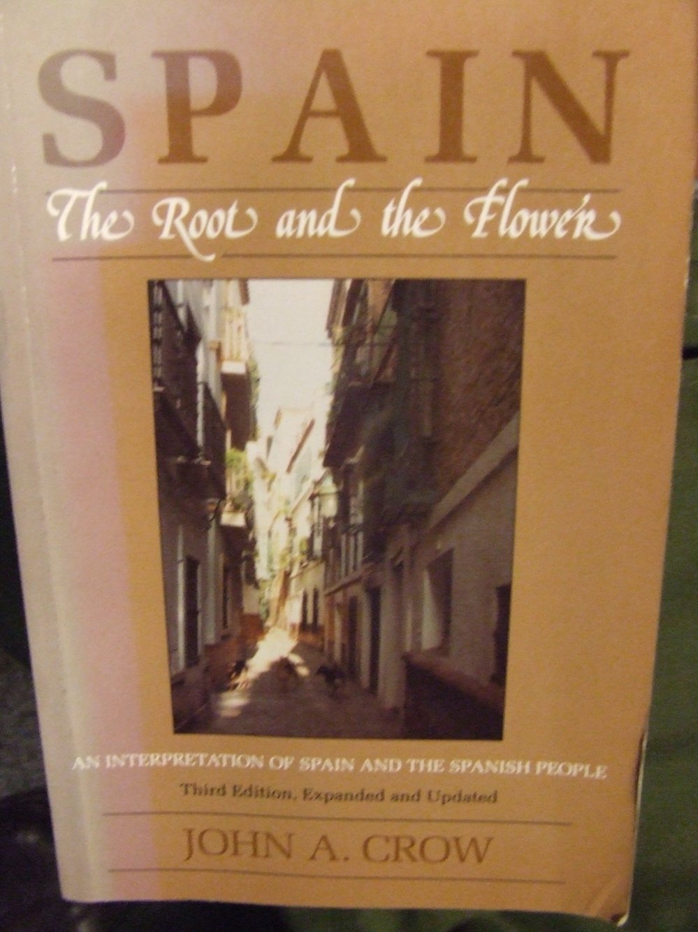Buy Spain – The Root & the Flower – An Interpretation of Spain & the ...