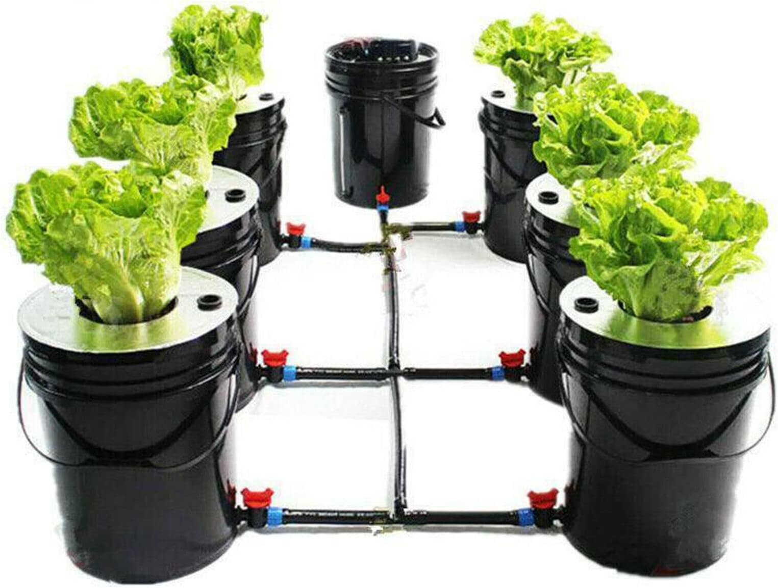 Amazon.com : PIAOCAIYIN DWC Hydroponic System, Hydroponics Growing ...