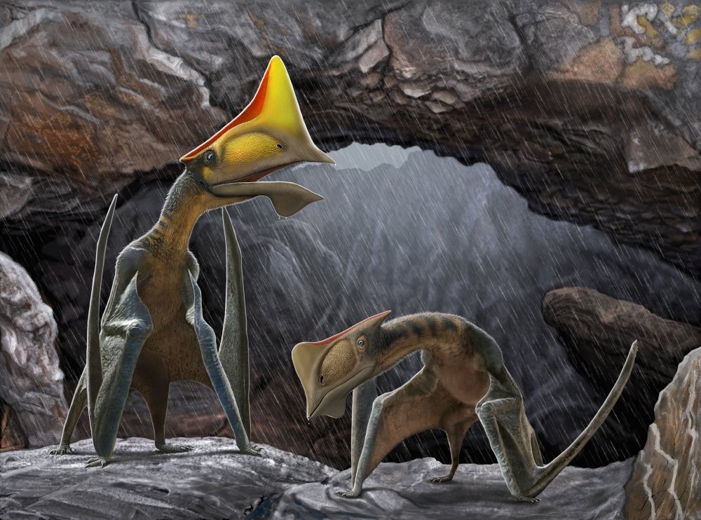 Walking With Dinosaurs Tapejara