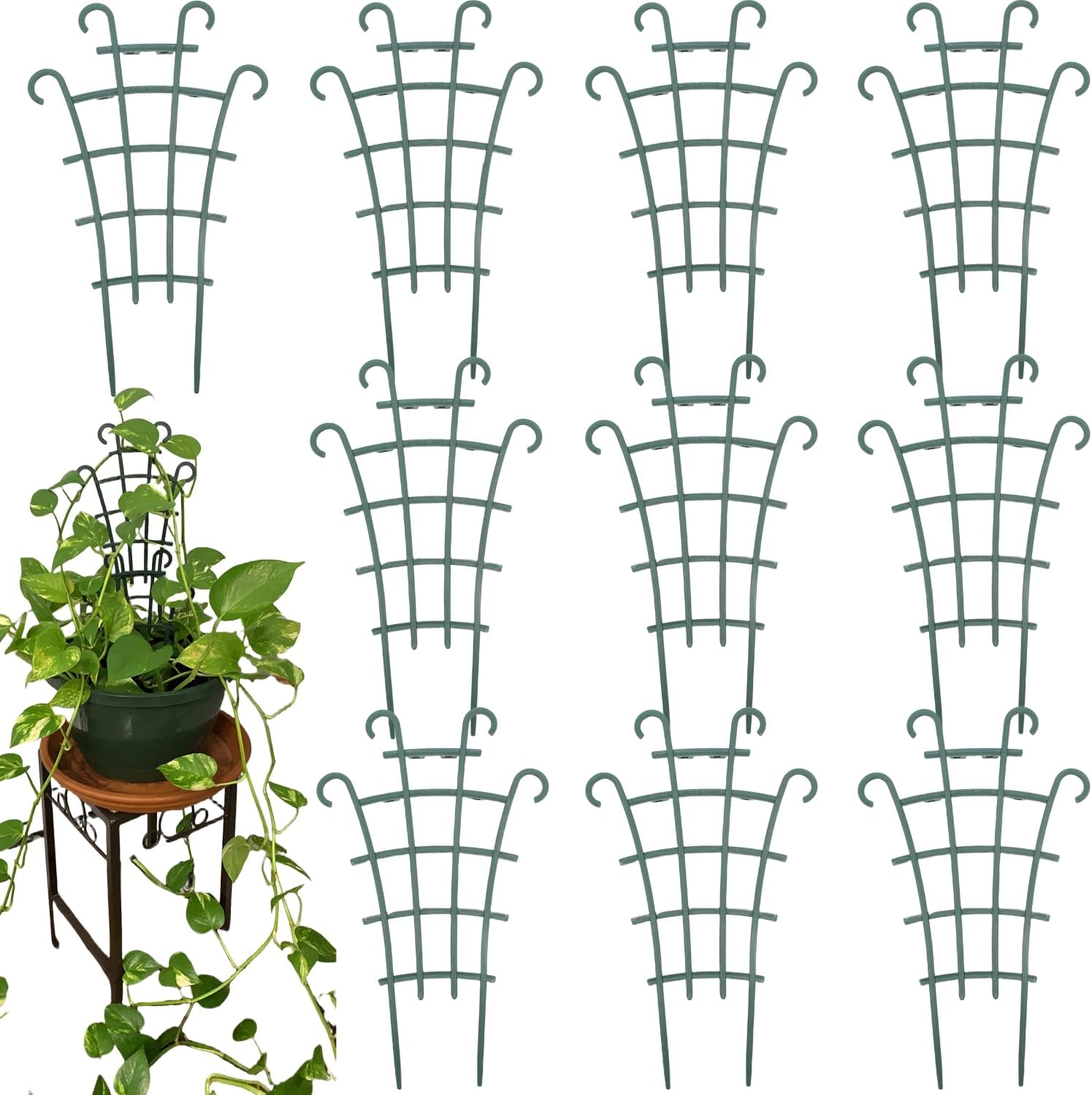 Amazon.com : 12 Pack Stackable Mini Climbing Plant Trellis for Indoor ...