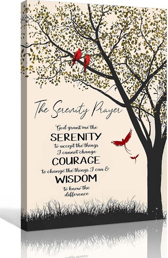 Amazon.com: Serenity Prayer Wall Art Bible Verse Poster Framed ...