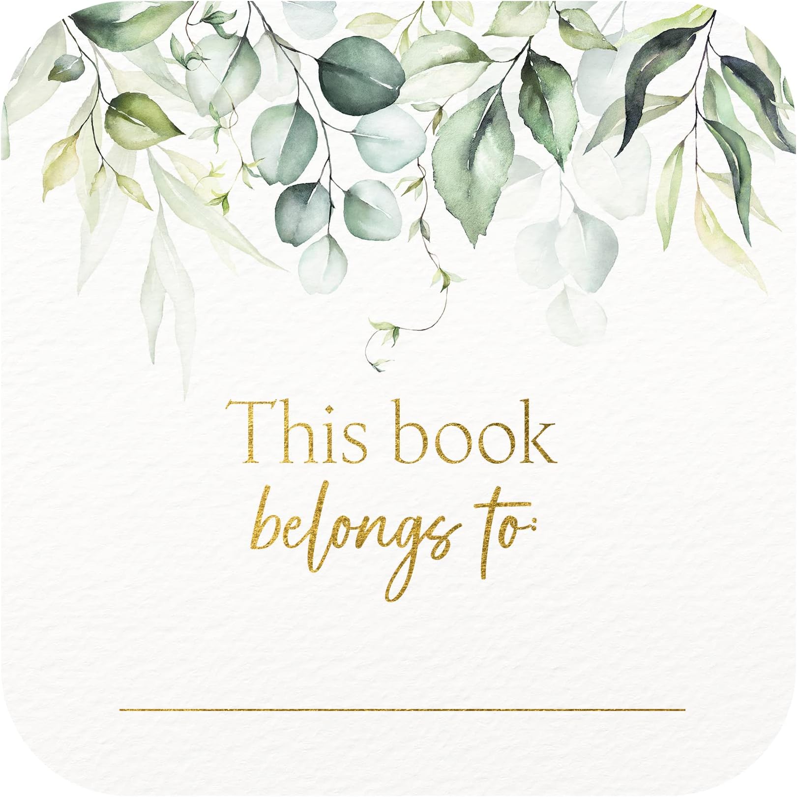 Amazon.com : Mobiusea Creation This Book Belongs to Stickers | Book ...