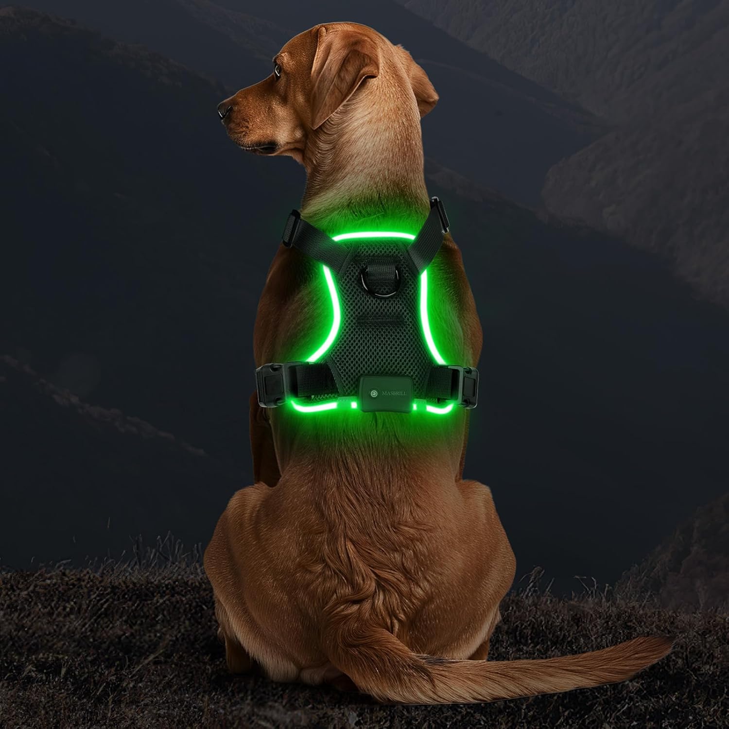 Amazon.com : Light Up Dog Harness, Rechargeable LED Dog Harness for ...