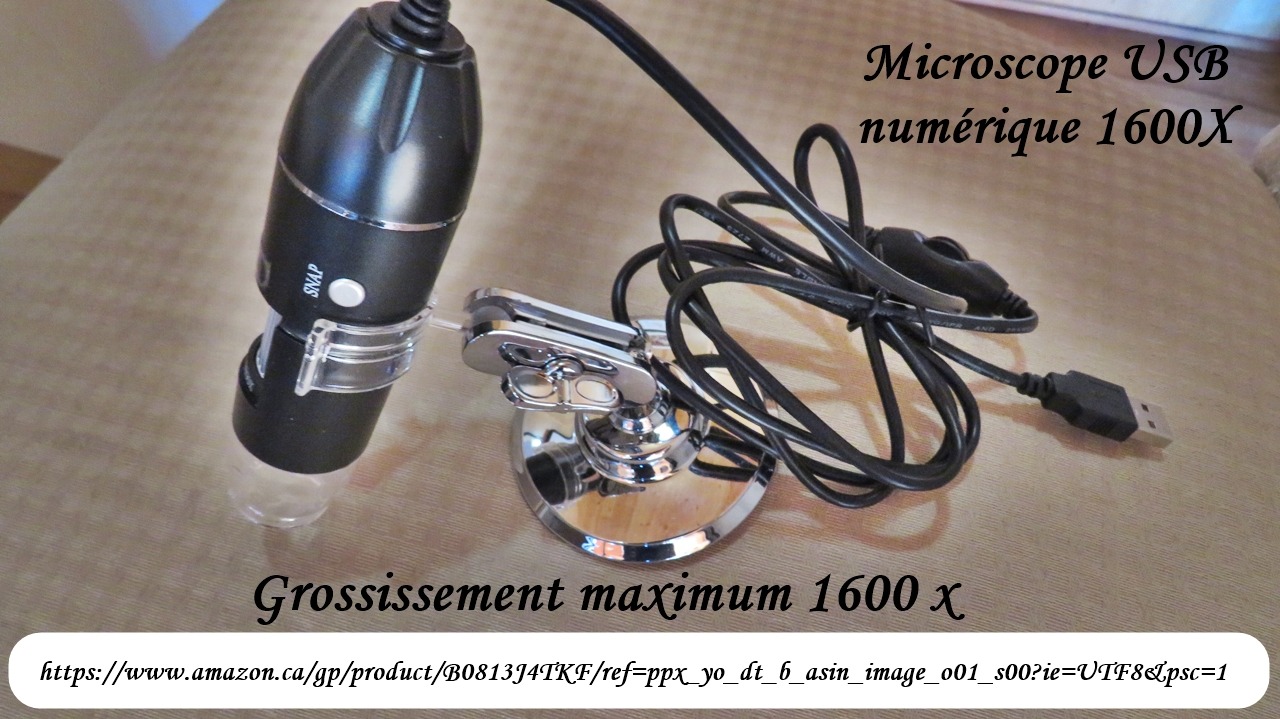 USB Microscope,1600X Digital Electron Microscope,USB Video Camera 2MP ...