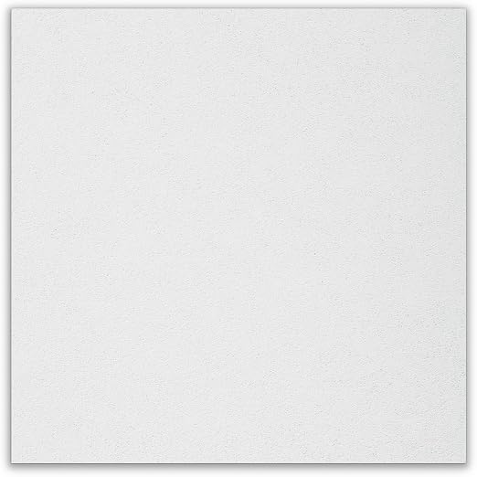 Armstrong Ceiling Tiles; 2x2 Ceiling Tiles - 12 pcs White; Acoustic ...