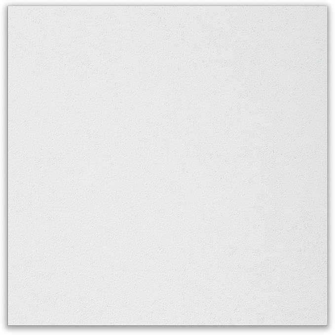 Armstrong Ceiling Tiles; 2x2 Ceiling Tiles - 12 pcs White Ceiling Tiles ...