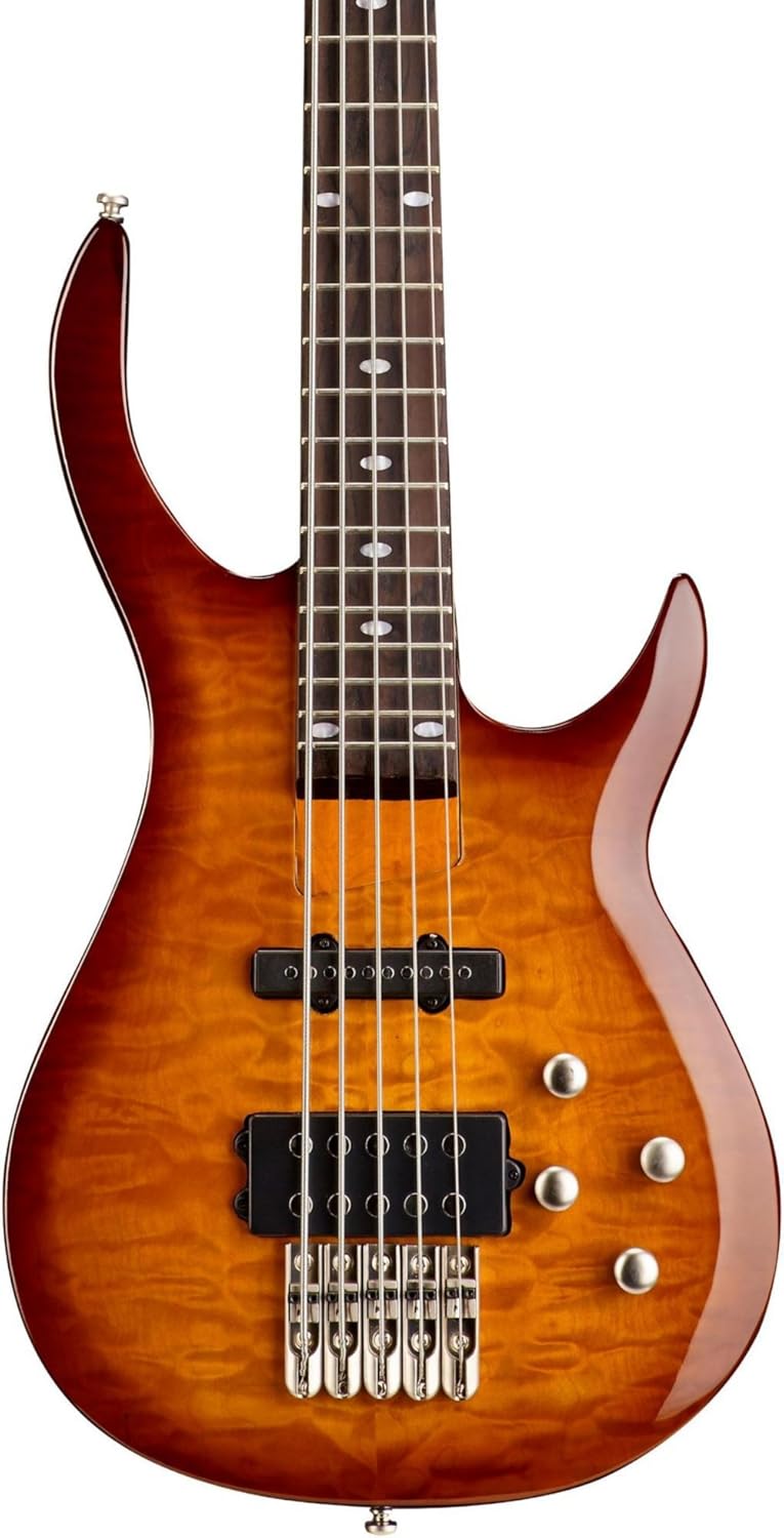 Amazon.com: Rogue LX405 Series III Pro 5-String Electric Bass Guitar ...