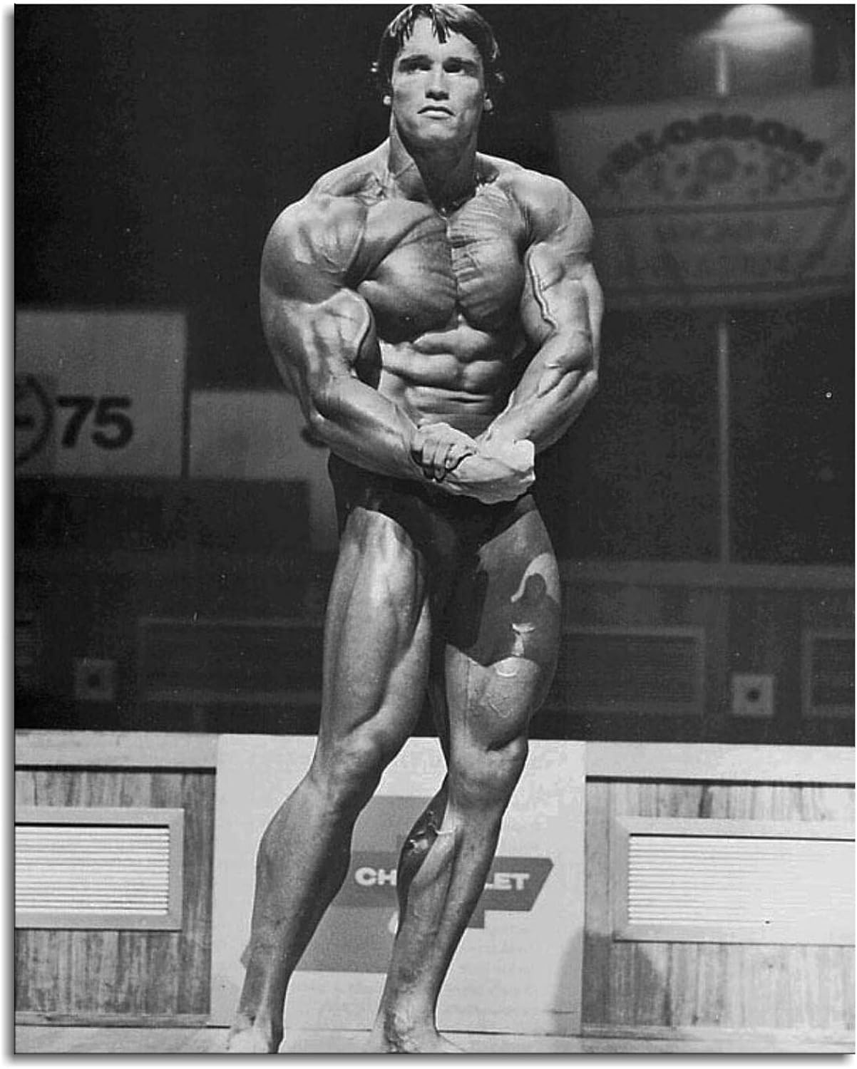 4UHUG Arnold Schwarzenegger - Póster de fitness clásico de ...