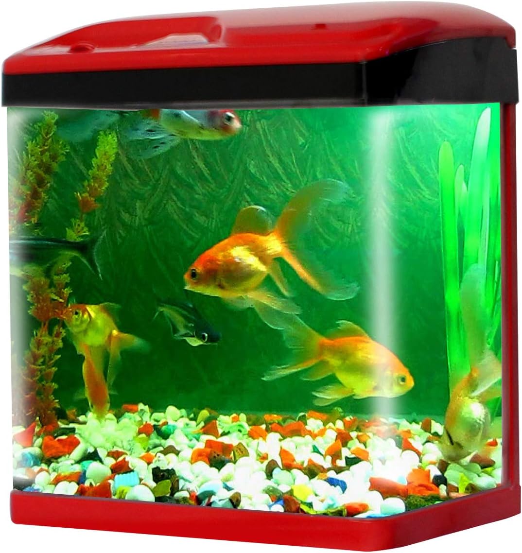 JAINSONS PET PRODUCTS Fish Aquarium Small Tank-15 LTR (Colour May Vary ...